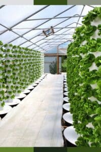 30+ Grow Room Design Ideas | Professional Grow Room Setup