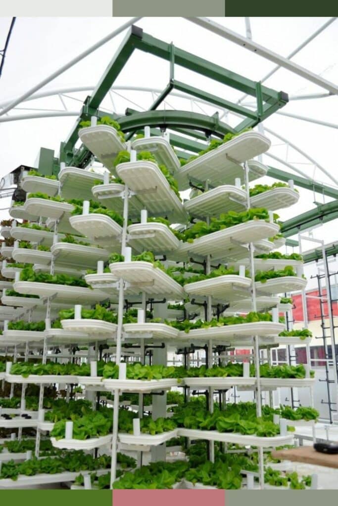 30+ Grow Room Design Ideas | Professional Grow Room Setup