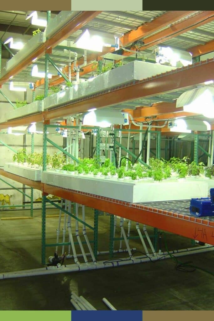 30+ Grow Room Design Ideas | Professional Grow Room Setup