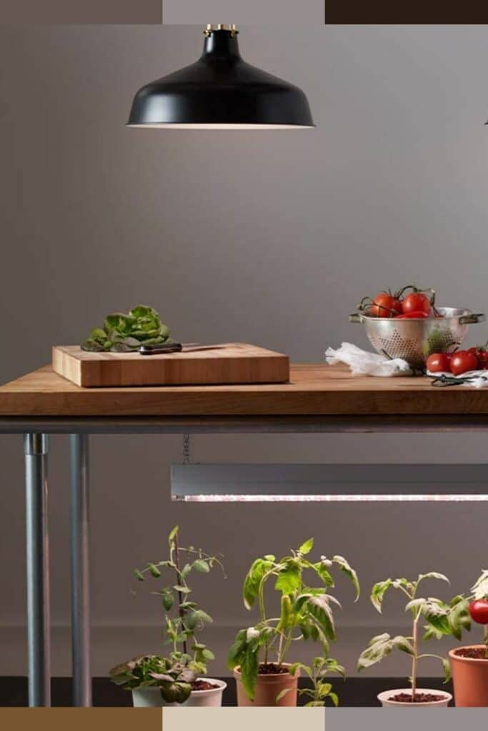 30+ Grow Room Design Ideas | Professional Grow Room Setup