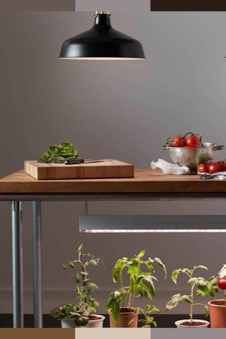 30+ Grow Room Design Ideas | Professional Grow Room Setup