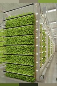 30+ Grow Room Design Ideas | Professional Grow Room Setup