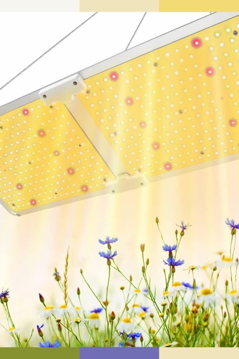 30+ Grow Room Design Ideas | Professional Grow Room Setup