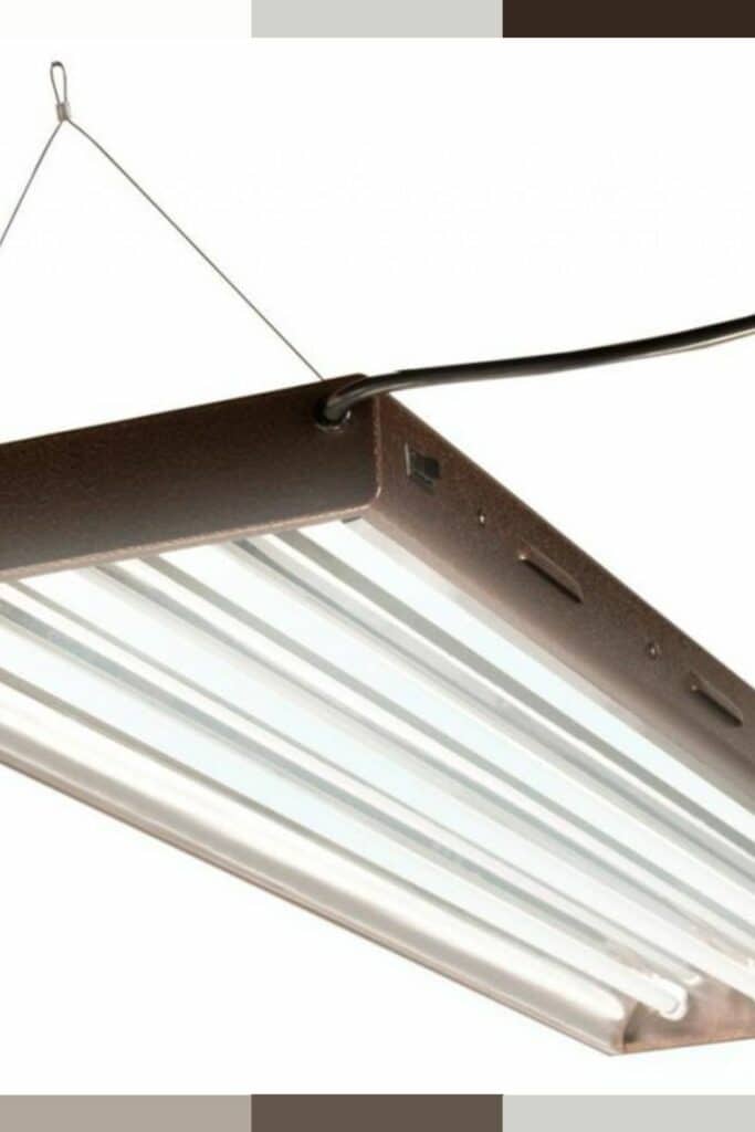 30+ Grow Room Design Ideas | Professional Grow Room Setup