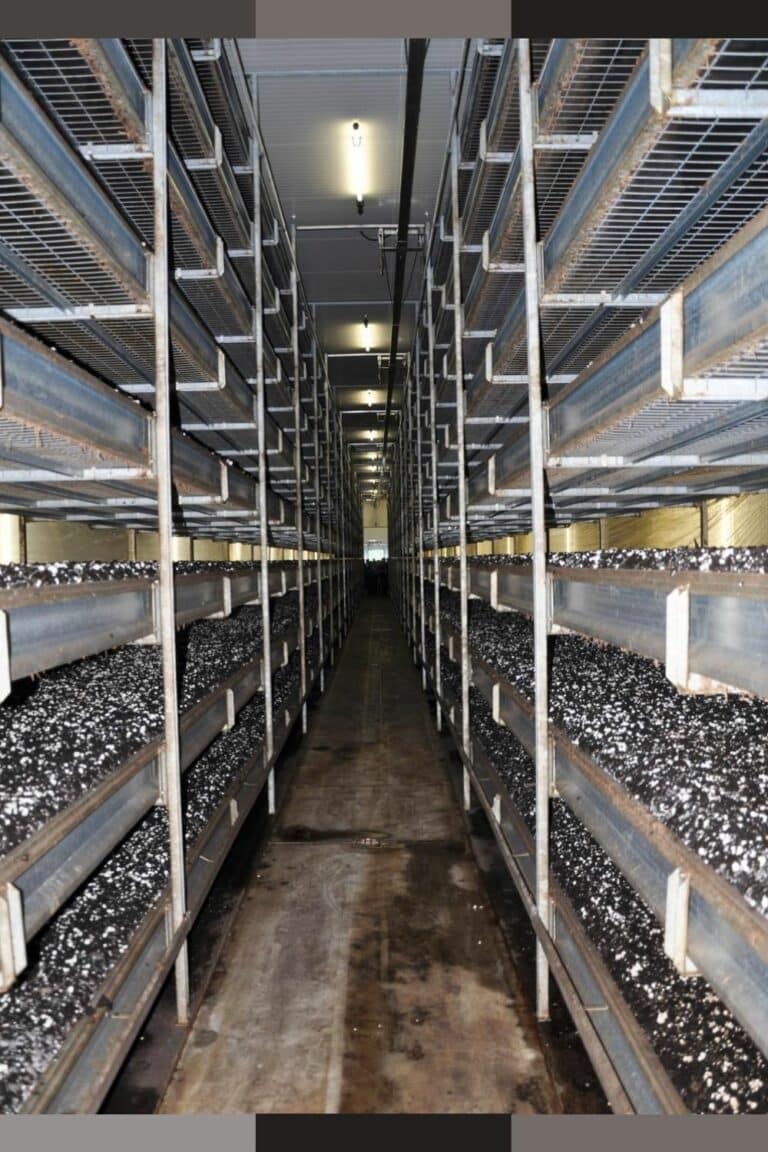 30+ Grow Room Design Ideas | Professional Grow Room Setup