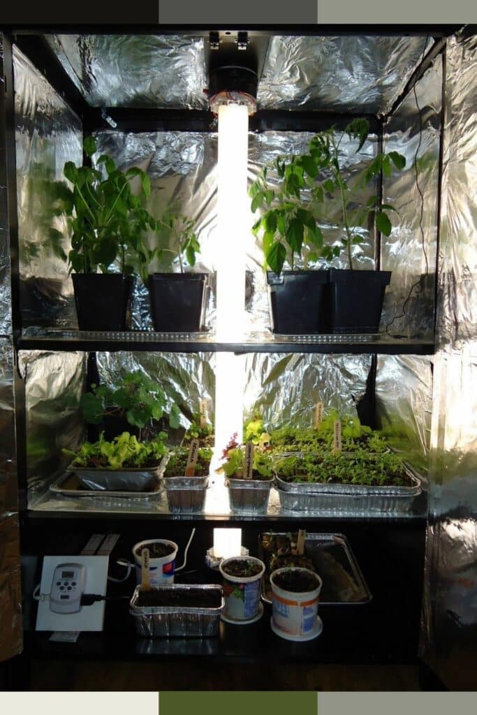 30+ Grow Room Design Ideas | Professional Grow Room Setup