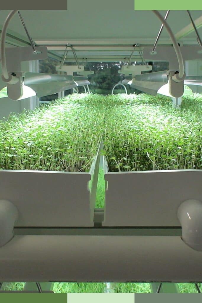30+ Grow Room Design Ideas | Professional Grow Room Setup