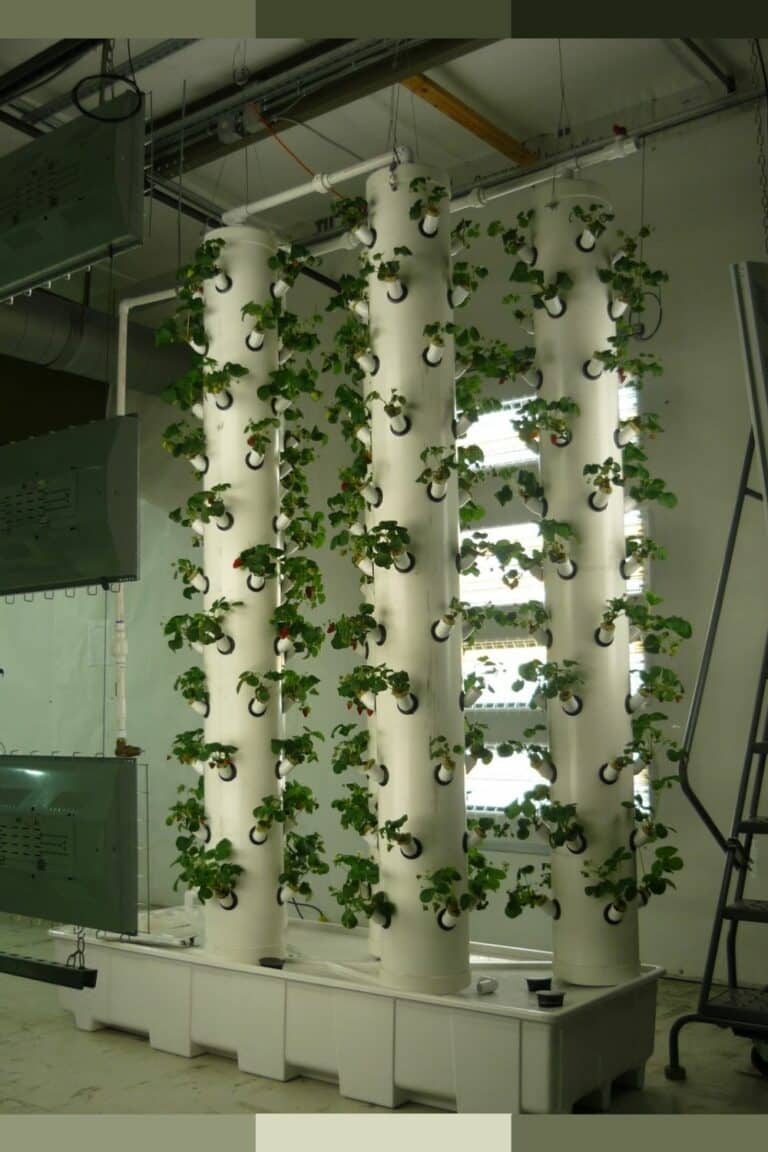 30+ Grow Room Design Ideas | Professional Grow Room Setup