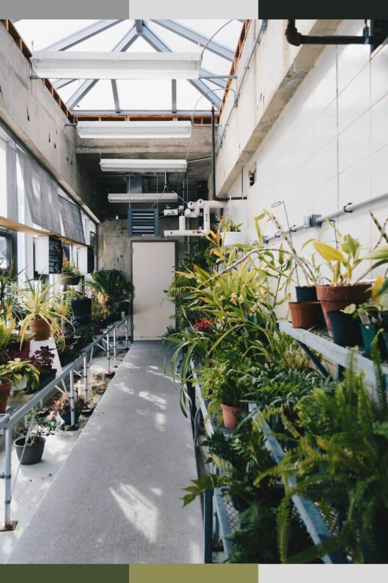 30+ Grow Room Design Ideas | Professional Grow Room Setup