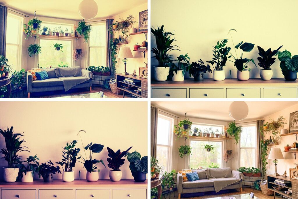 The Dos And Don’ts Of Feeding Your Worm Farm - Farm Fresh Therapy