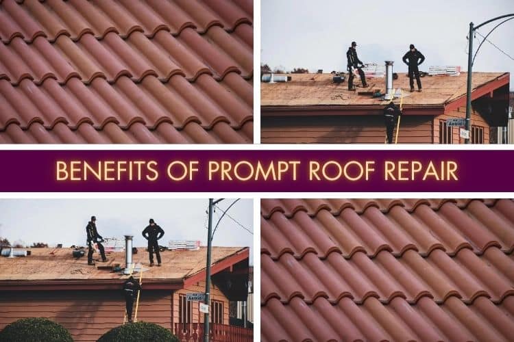 You Shouldn't Wait to Have Your Roof Repaired, and Here's Why - Farm ...